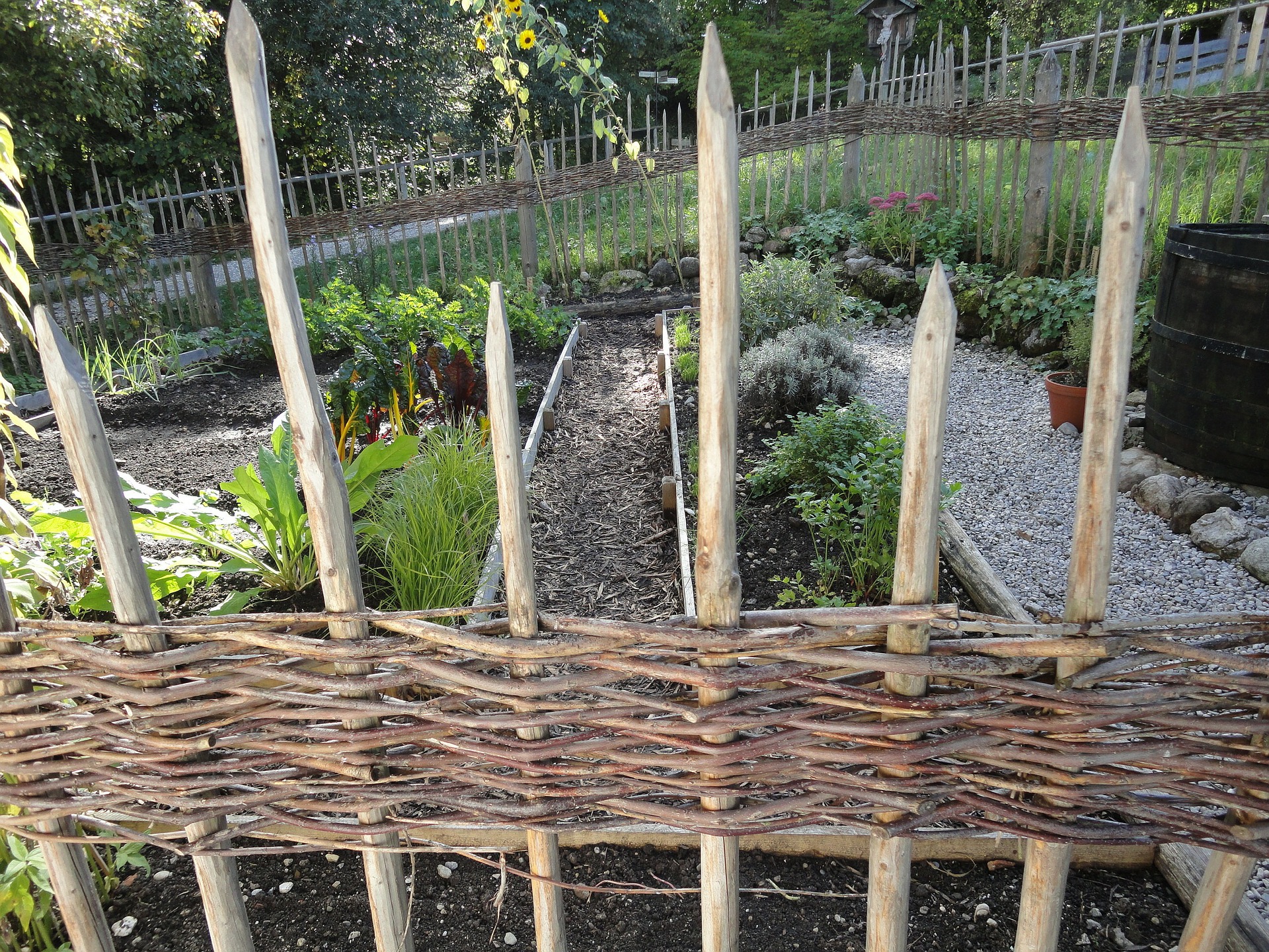 How to Start a Kitchen Garden for Beginners - Soil, Grow, Enjoy