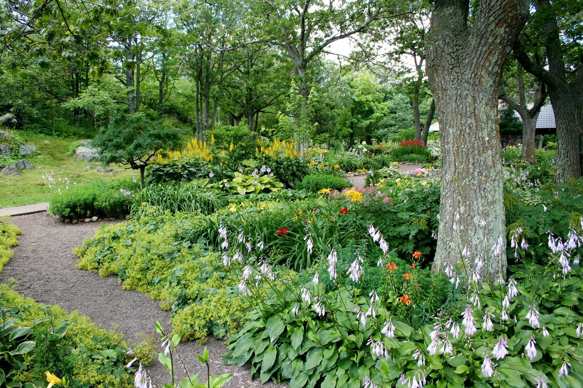 Inspiring Garden Footpath with Colorful Flowers - Soil, Grow, Enjoy