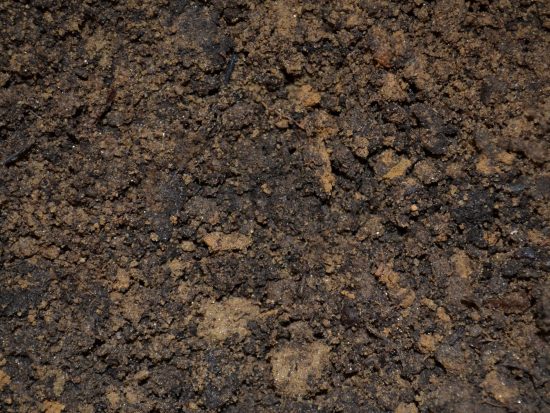 How to make well-drained soil? - Soil, Grow, Enjoy